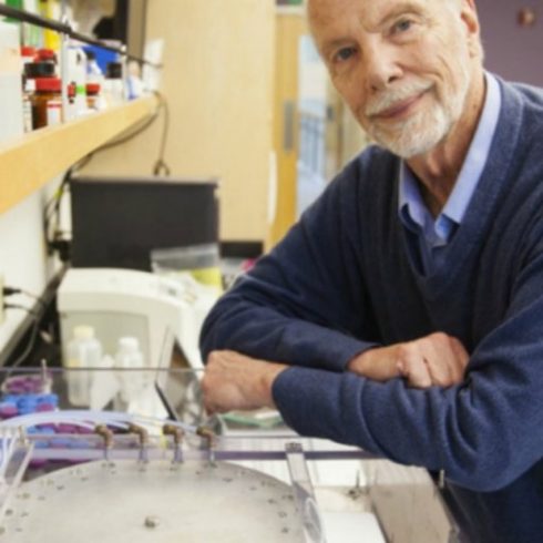 Webinar: David Deamer - Origins Center